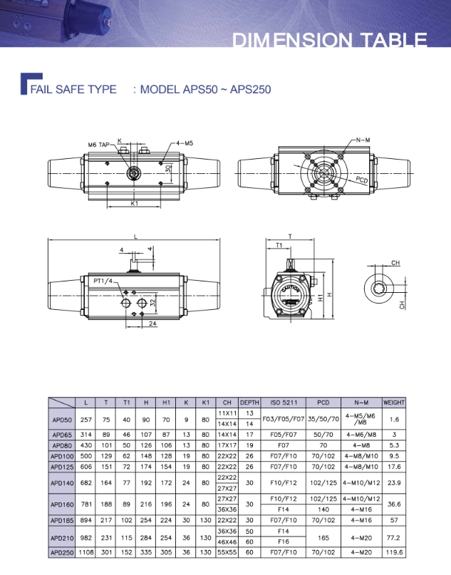 Bộ khí APS100 DongjooAP - Cao Đạt TAE Co.,LTD